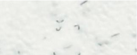 Tufftec Locker Room Benches | Scranton Products