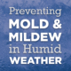 Tips and Tricks for Mildew and Mold Prevention in Humid Weather ...