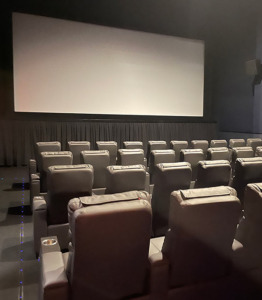 Eclipse Partition at Wayfarer Theaters - Scranton Products